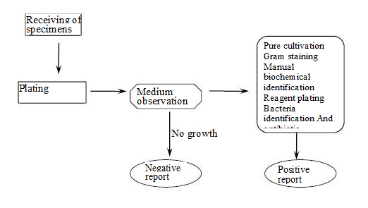 Microbial ID/AST System BCMD-101